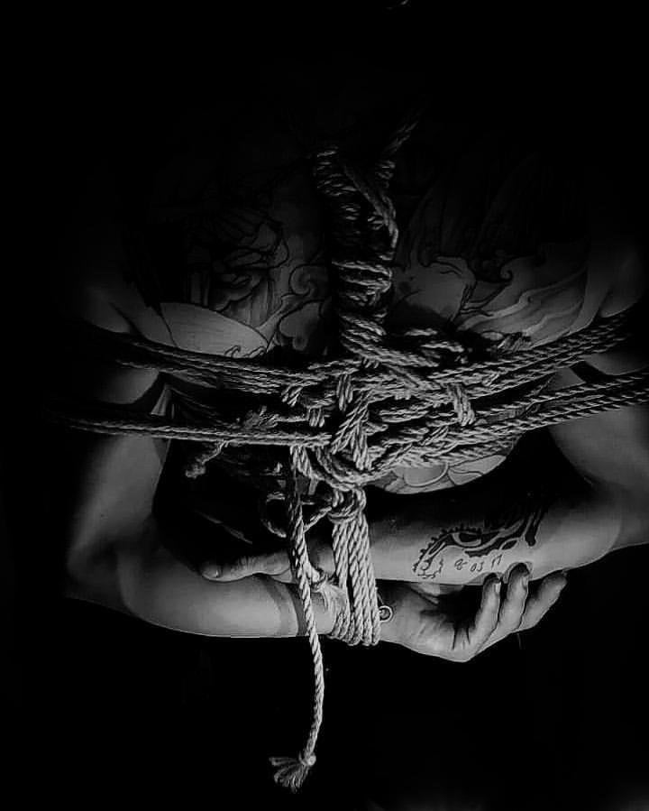 Shibari 5 Pics Xhamster
