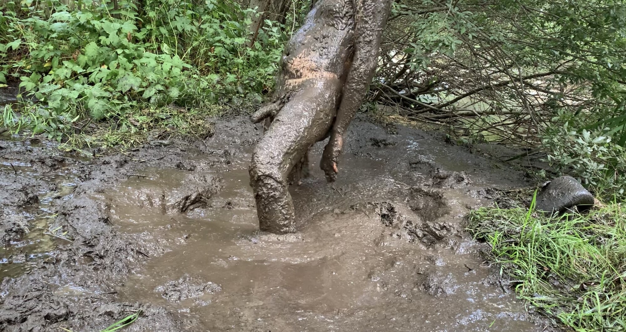 Mud Mud Mud 38 Pics Xhamster 2159